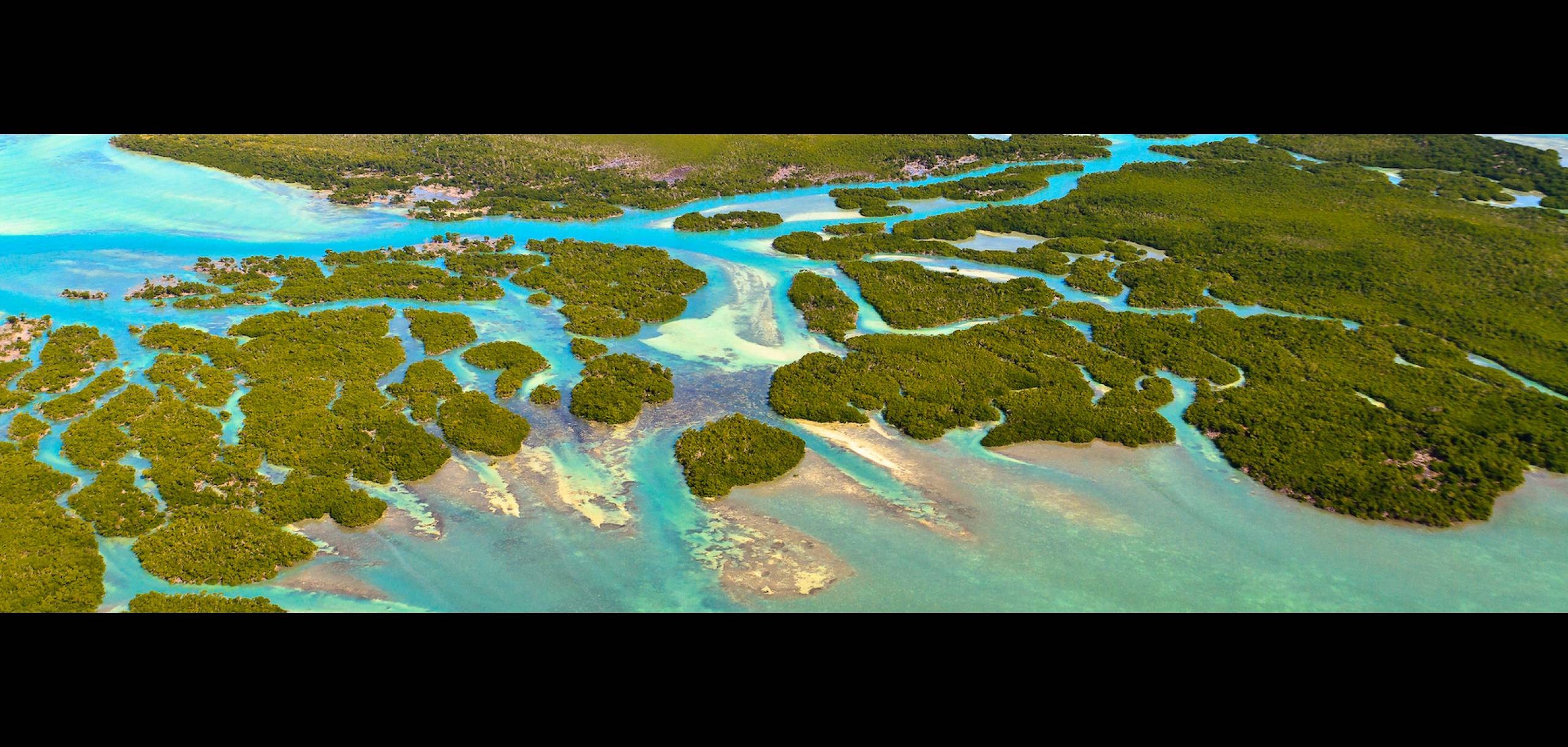 Florida Keys Vacation-Rentals | Bluescape Vacation Rentals